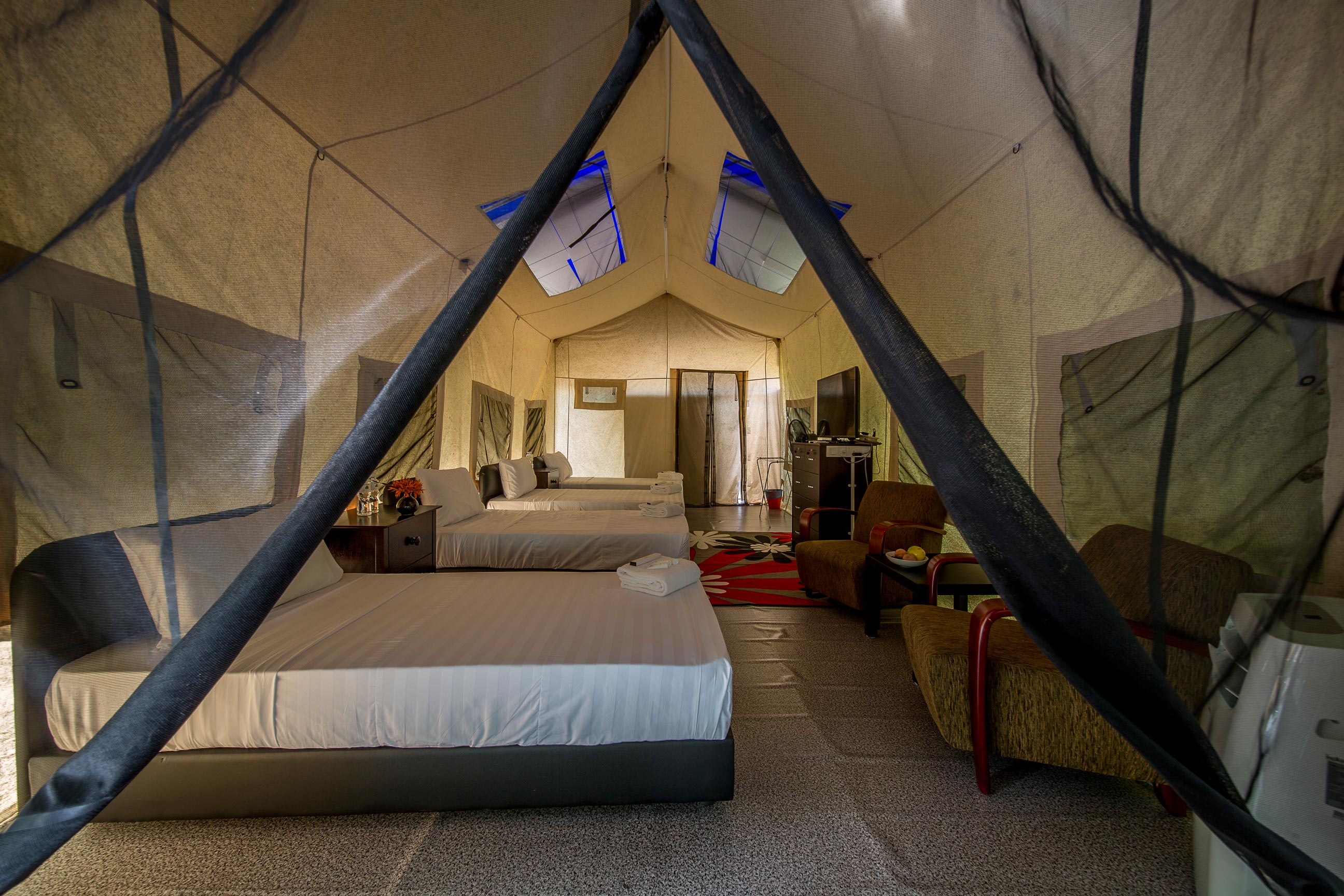 Glamping Accommodation Gallery – Orchard Go-Daddy Safari Camp Glamping Accommodation Gallery – Orchard Go-Daddy Safari Camp