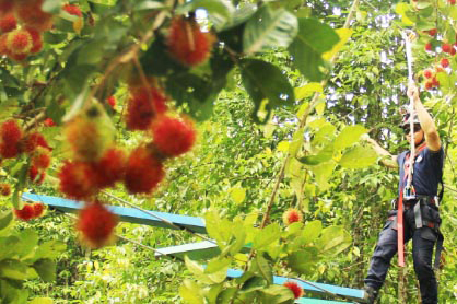 Facilities – Orchard Go-Daddy Safari Glamping